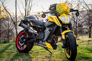 KTM 790 Dunlop Duke TuneUp Zubeh r Mega Poster