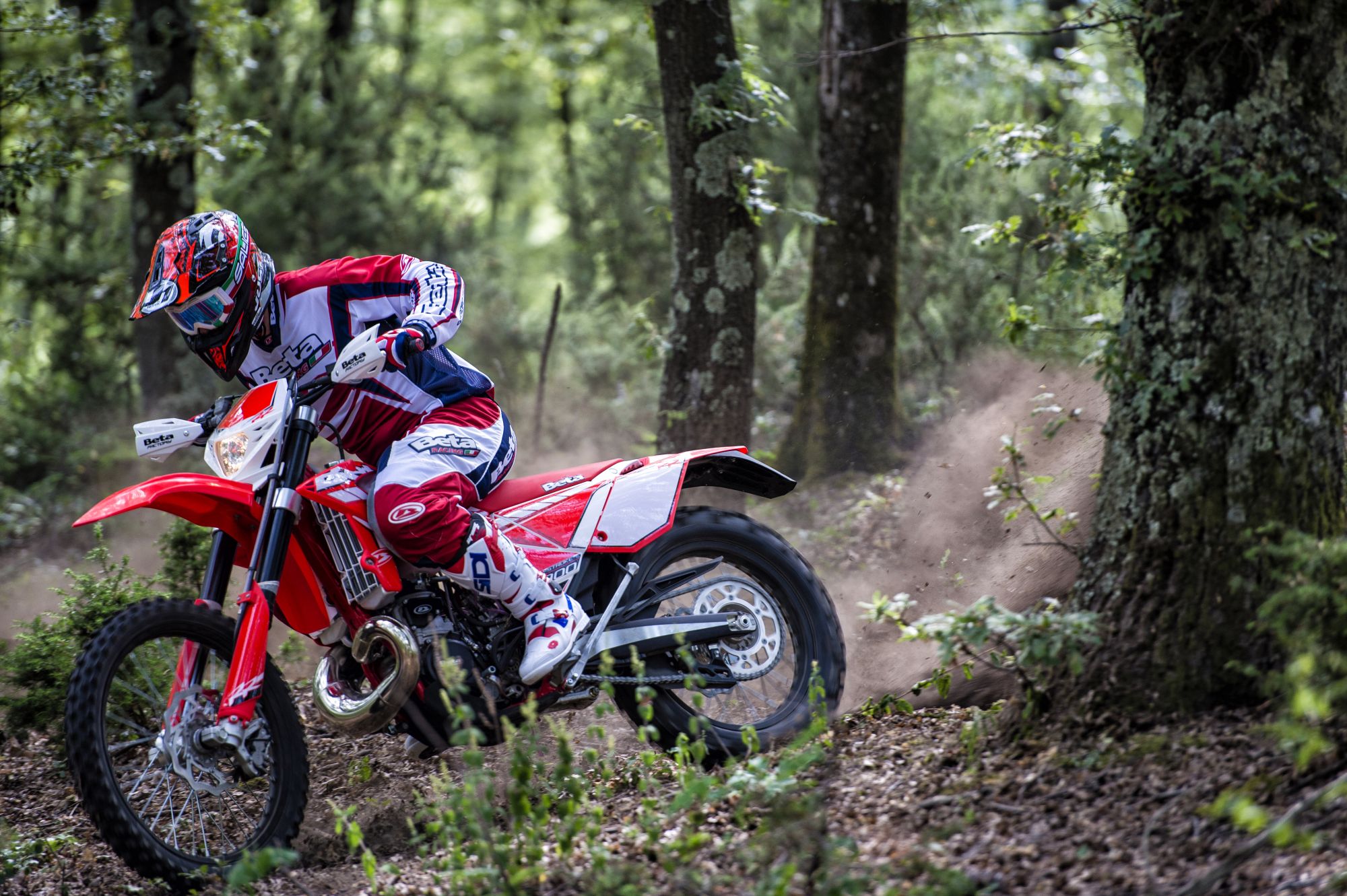 Beta RR 300 2T Bilder und technische Daten