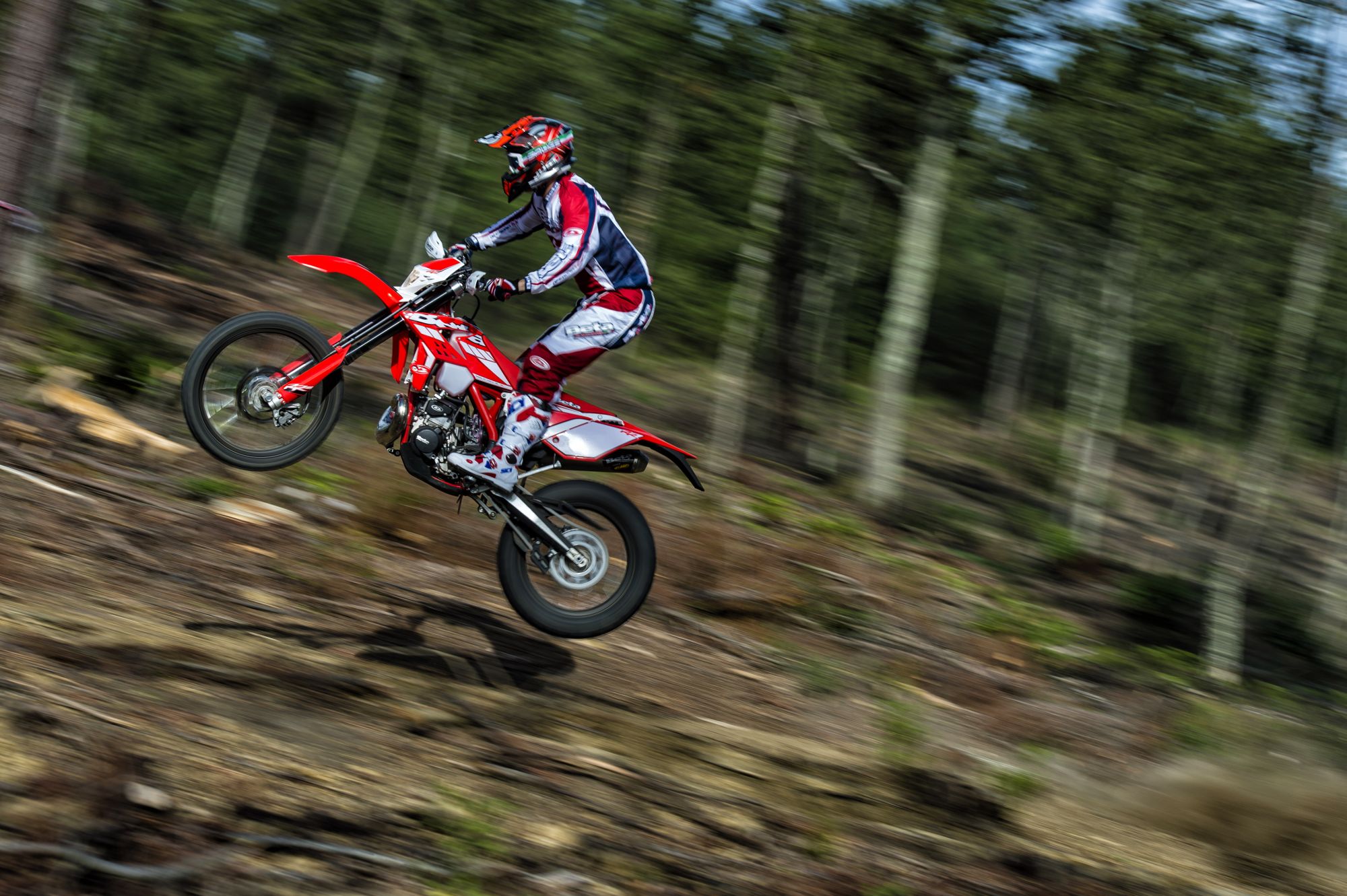 Beta RR 300 2T Bilder und technische Daten