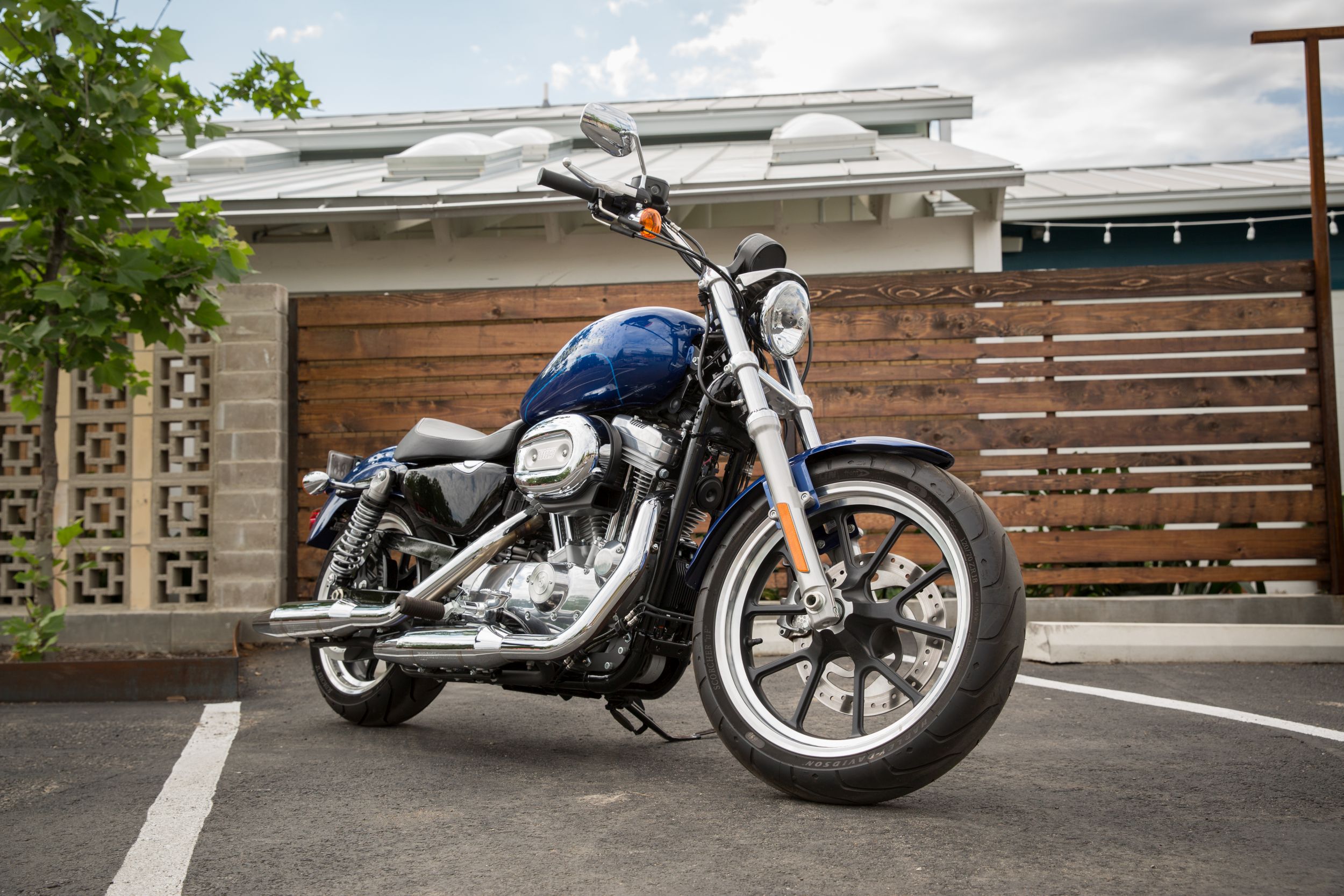 Motorrad Occasion Harley-Davidson Sportster XL 883 L SuperLow kaufen